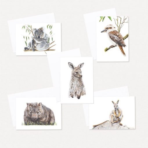 Australian Bird & Wildlife Art by Rachel Hollis | Originals, Prints ...